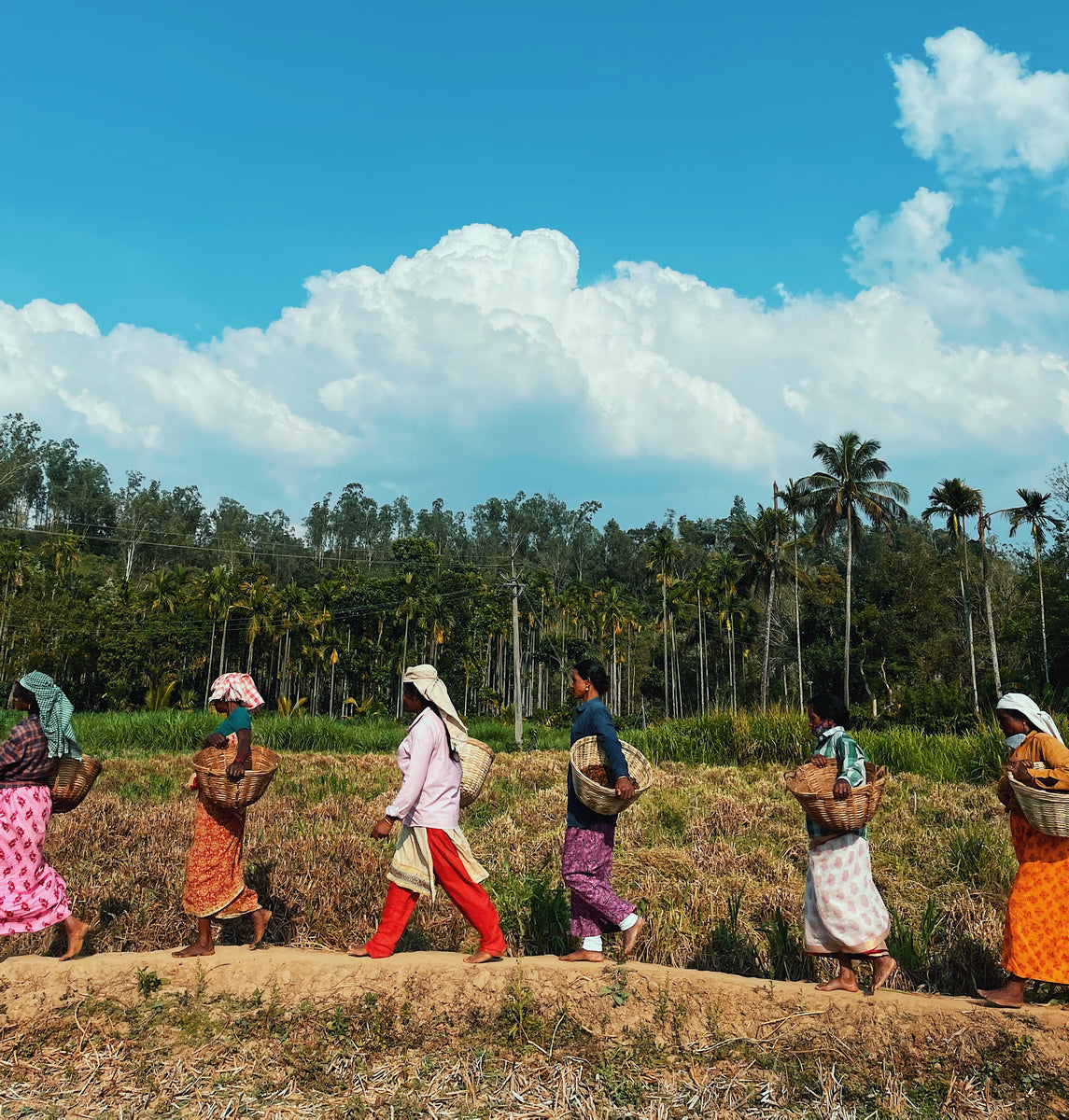 Introducing the Farm Worker Fund! – Diaspora Co.