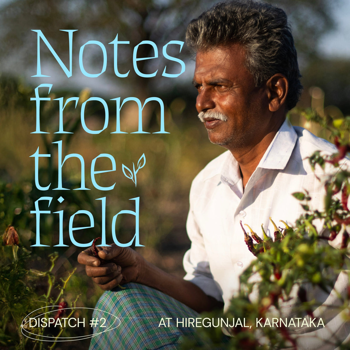 Notes from the Field #2: Welcome to the Real World Wide Web – Diaspora Co.