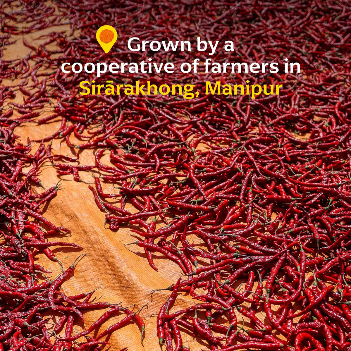 Buy Sirarakhong Hathei Chilli | Spicy & Bold | Diaspora Co – Diaspora Co.