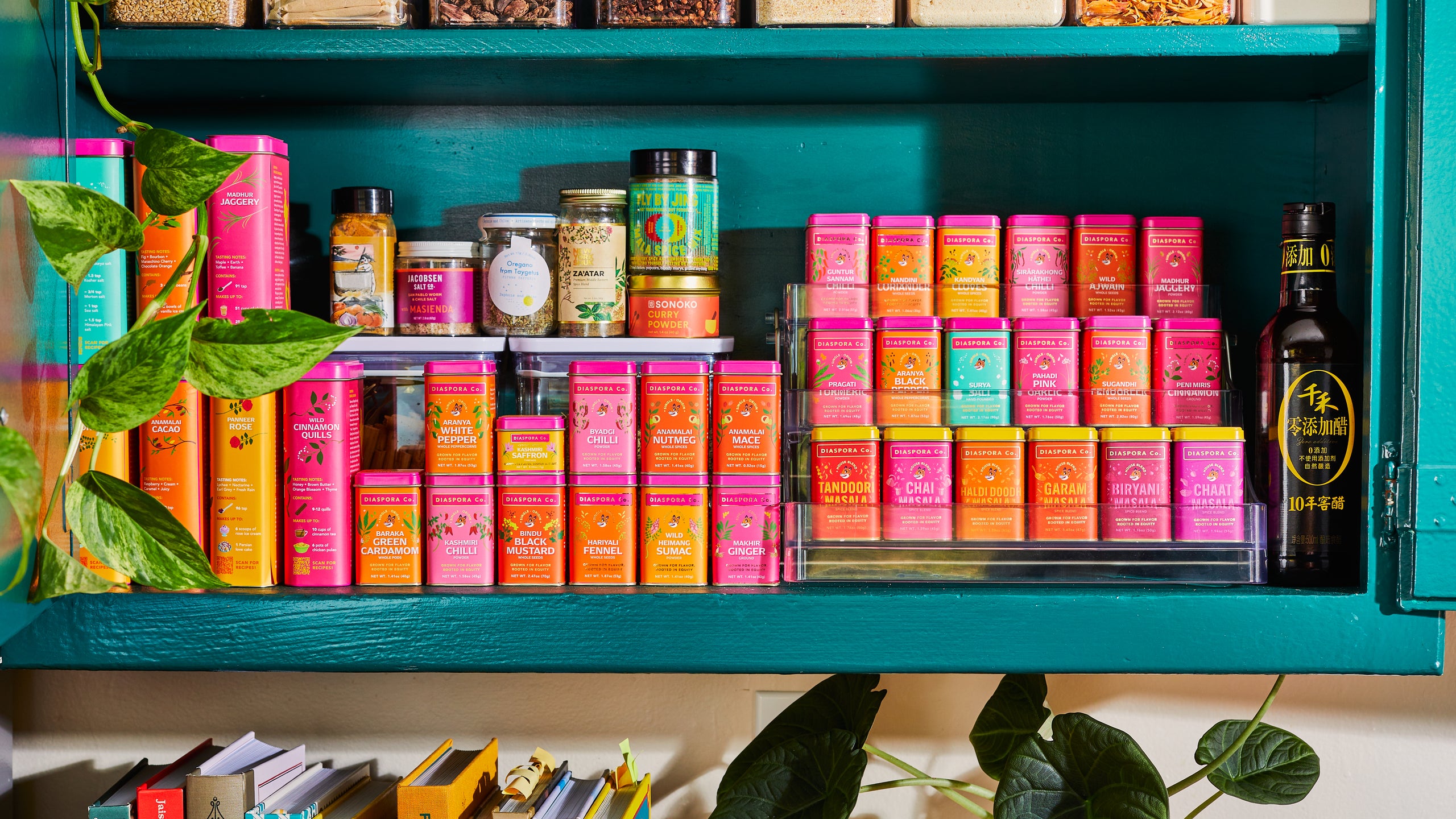 Diaspora Co. – Diaspora Co.